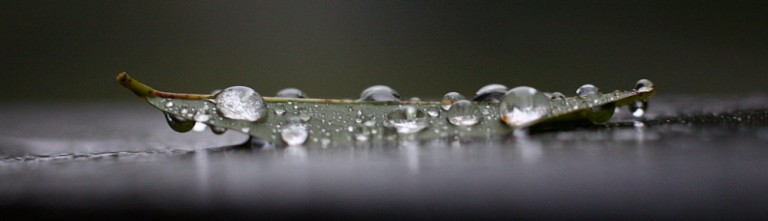 Plague | Danijel Turina blog